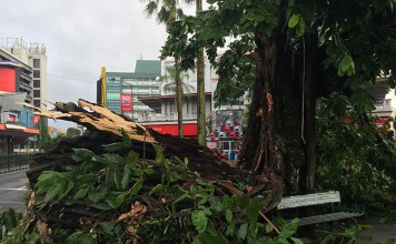 Homepage – Newspaper | Asia Pacific Report