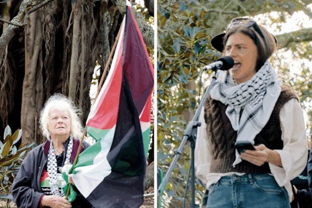 Flying the flags for Palestine – NZ protesters take message to ...